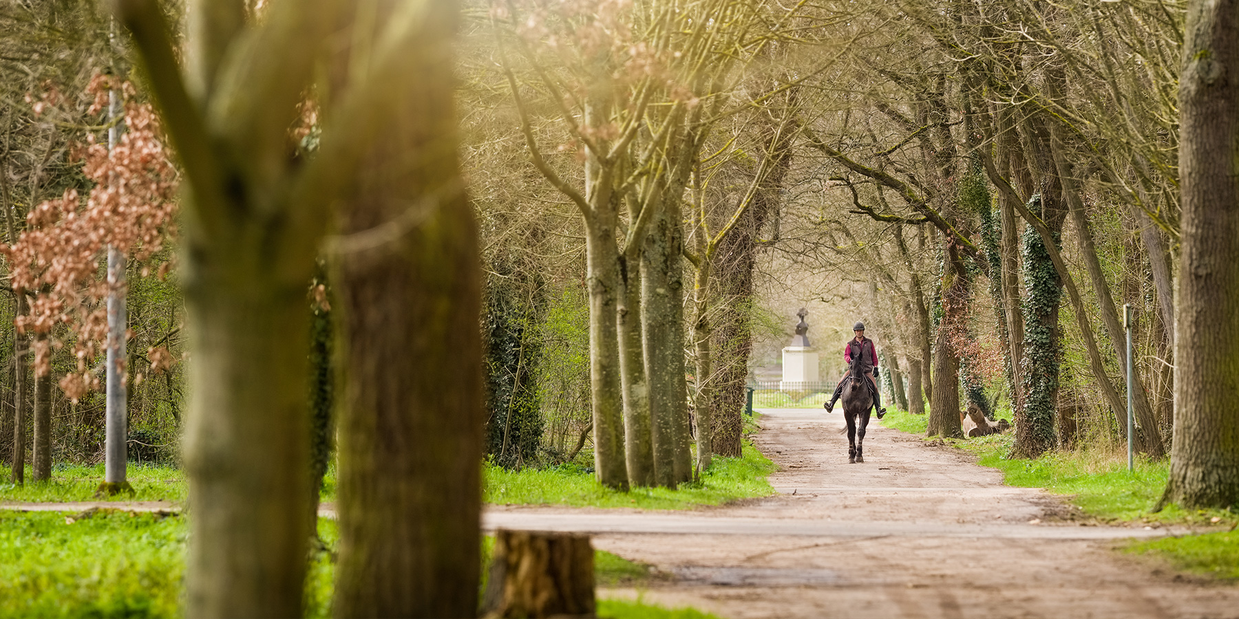 Parc de Maisons-Lafitte | ASP - Parc de Maisons-Laffitte